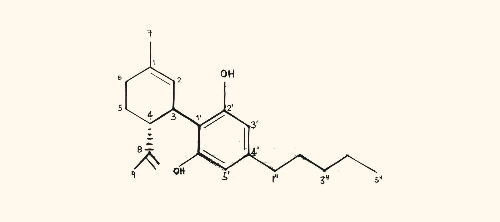 Understanding the Recent FSA Guidelines on CBD Oral Consumption – KLORIS EU